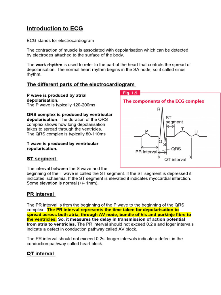 Introduction To ECG | PDF | Electrocardiography | Internal Medicine