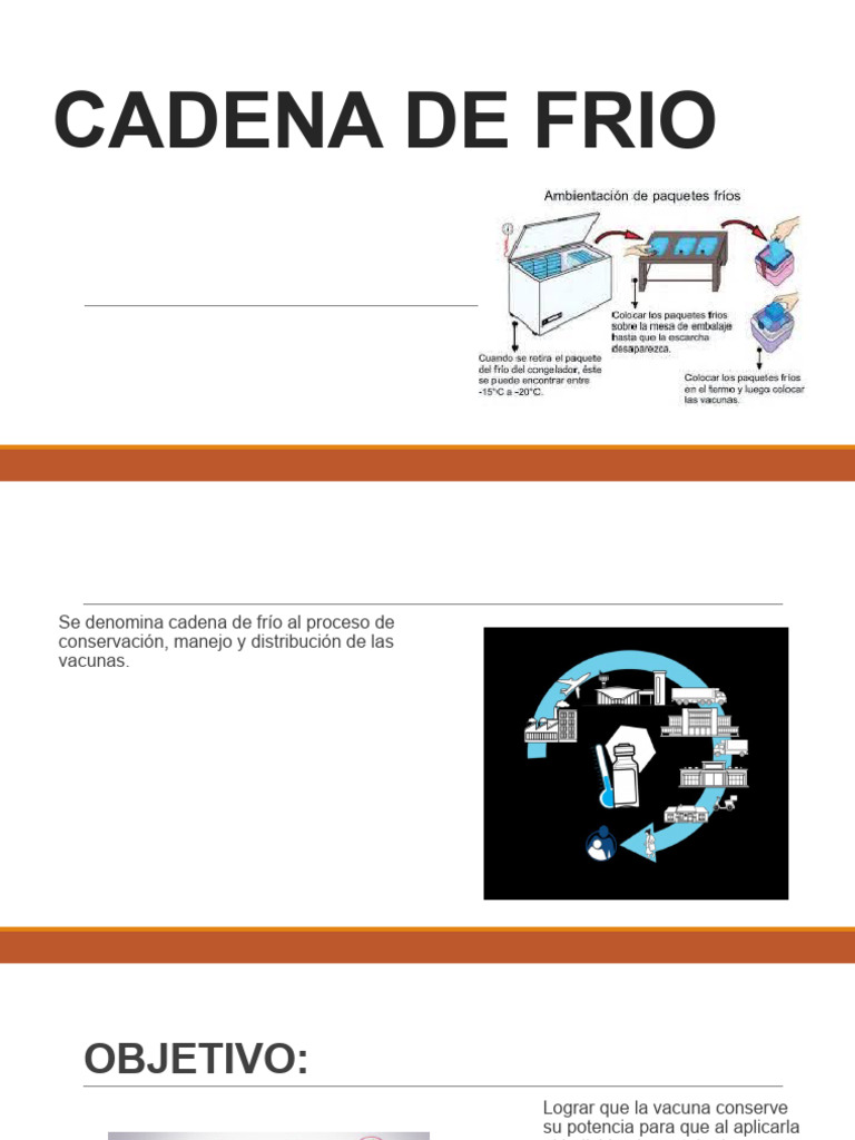 Cadena de Frio | PDF | Refrigerador | Vacunas