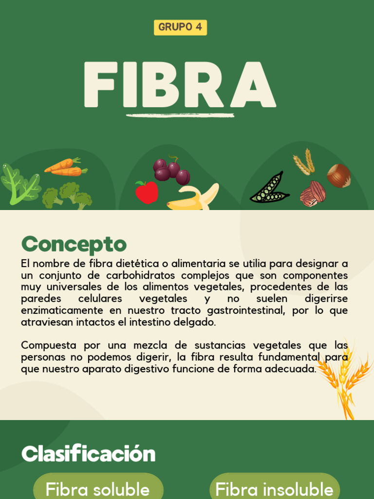 Presentacion Fibra | PDF