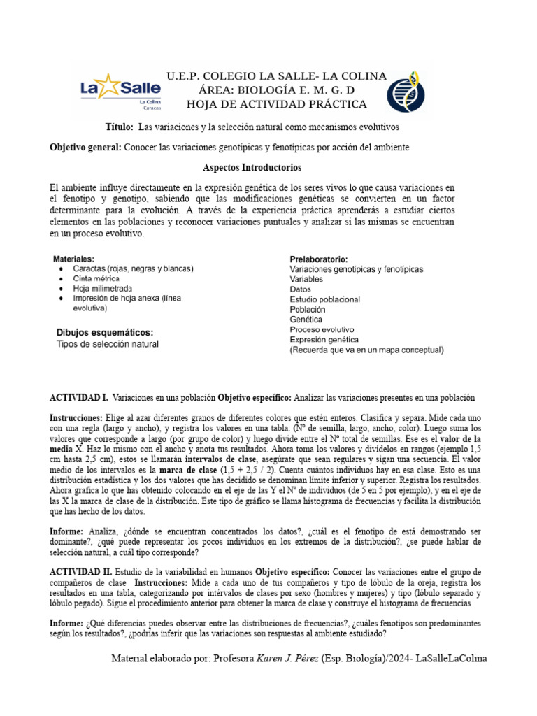 Pract I - II 4 Año | PDF | Evolución | Genotipo