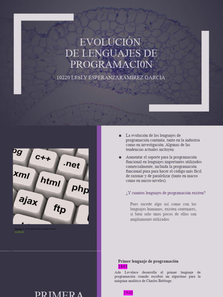 10220 _T105EVOLUCION DE LENGUAJES DE PROGRAMACION | PDF | Programación de computadoras ...