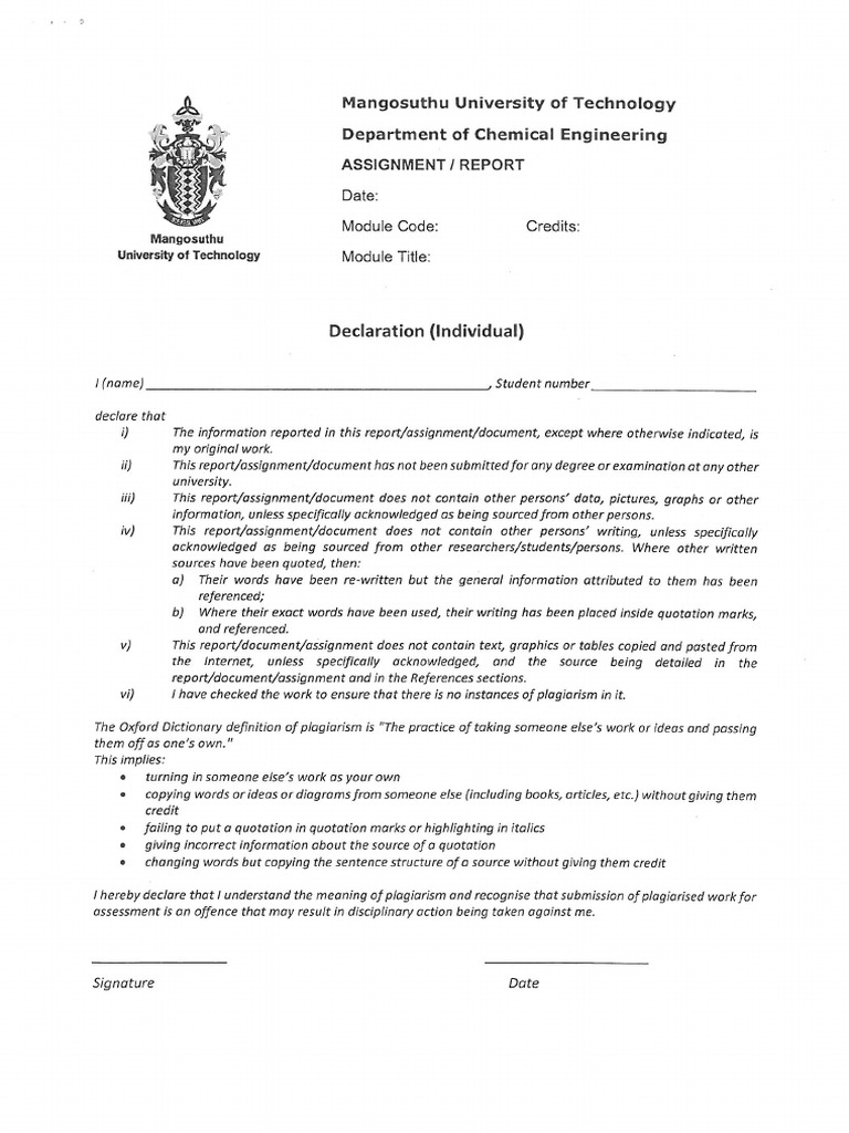 Declaration (MTS) | PDF
