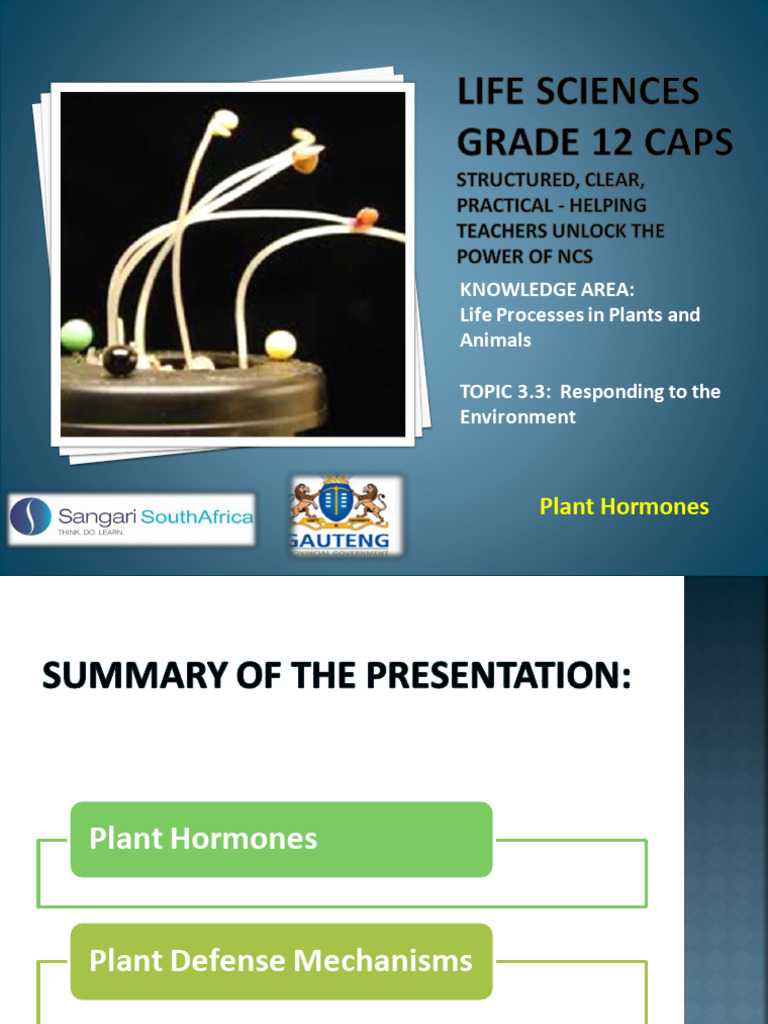 Grade 12 Life Sciences Guide | PDF | Auxin | Plant Hormone