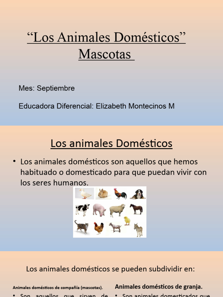 Animales Domésticos y su Clasificación | PDF