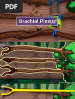 Pixorize Biochemistry Overview | PDF