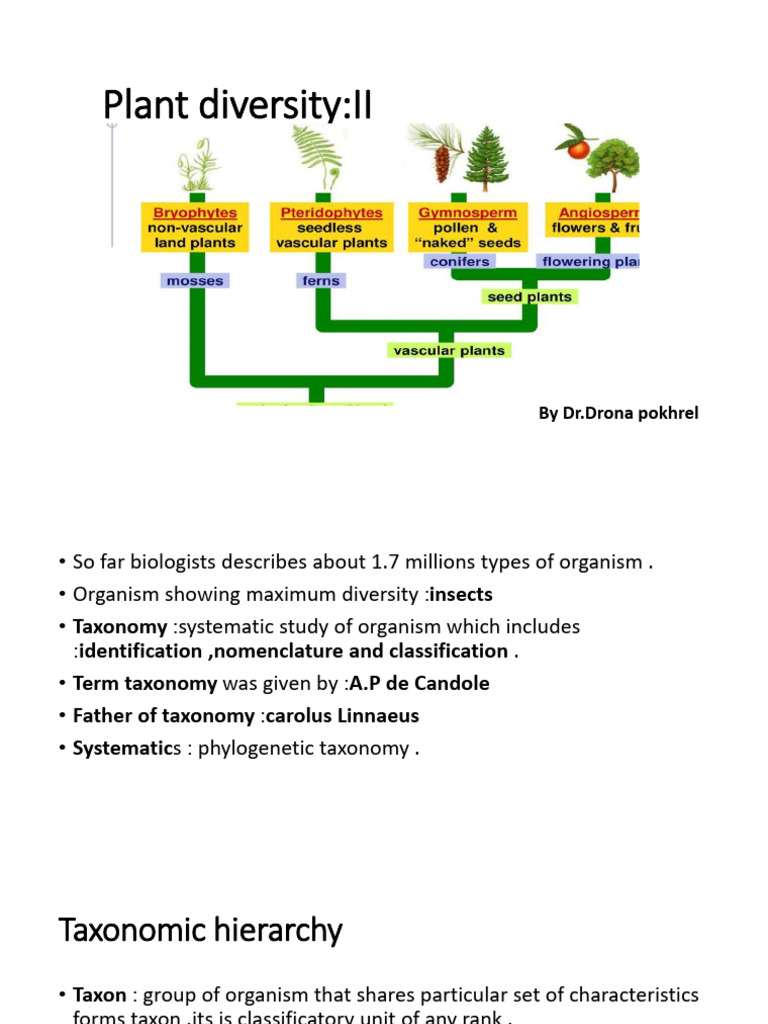 algae note | PDF | Algae | Taxonomy (Biology)