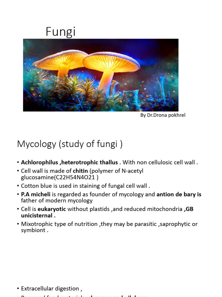 Fungi Note | PDF | Fungus | Sexual Reproduction
