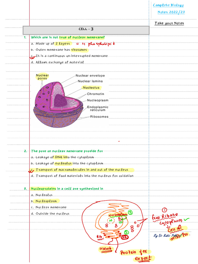 Cell 3 Qad Solutions | PDF | Endoplasmic Reticulum | Cell (Biology)