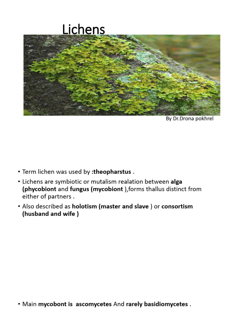 Lichens Notes | PDF | Organisms | Fungus
