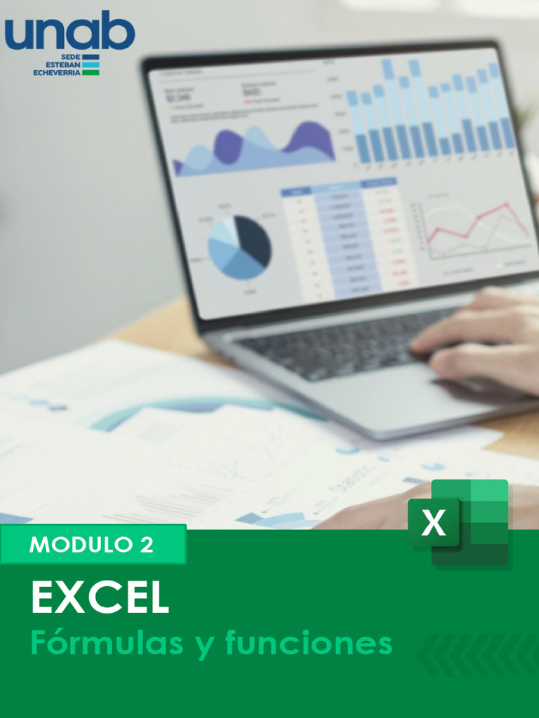 Modulo 2 EXCEL | PDF | Microsoft Excel | Matriz (Matemáticas)