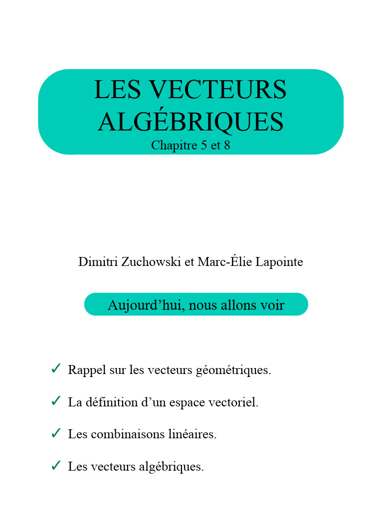 Vecteurs algébriques et espaces vectoriels | PDF | Espace vectoriel ...