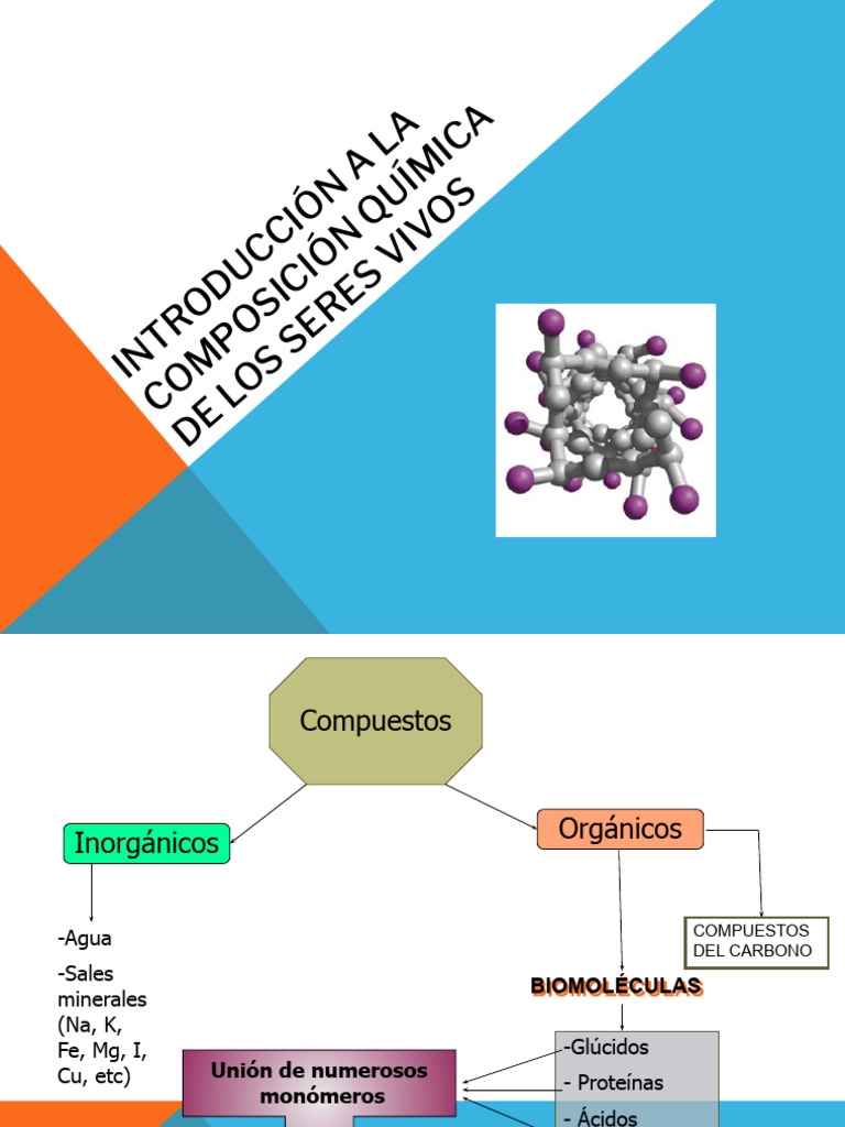 Introducción a la composición química de los seres vivos | PDF ...
