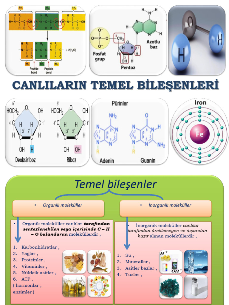 İnorganik Bileşikler | PDF