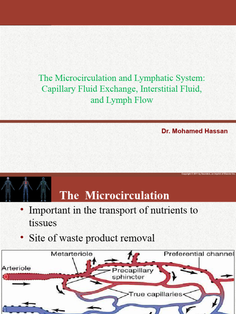 The Microcirculation and Lymphatic System | PDF | Lymph | Capillary