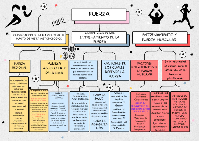 MAPA CONCEPTUAL | PDF | Músculo | Fuerza