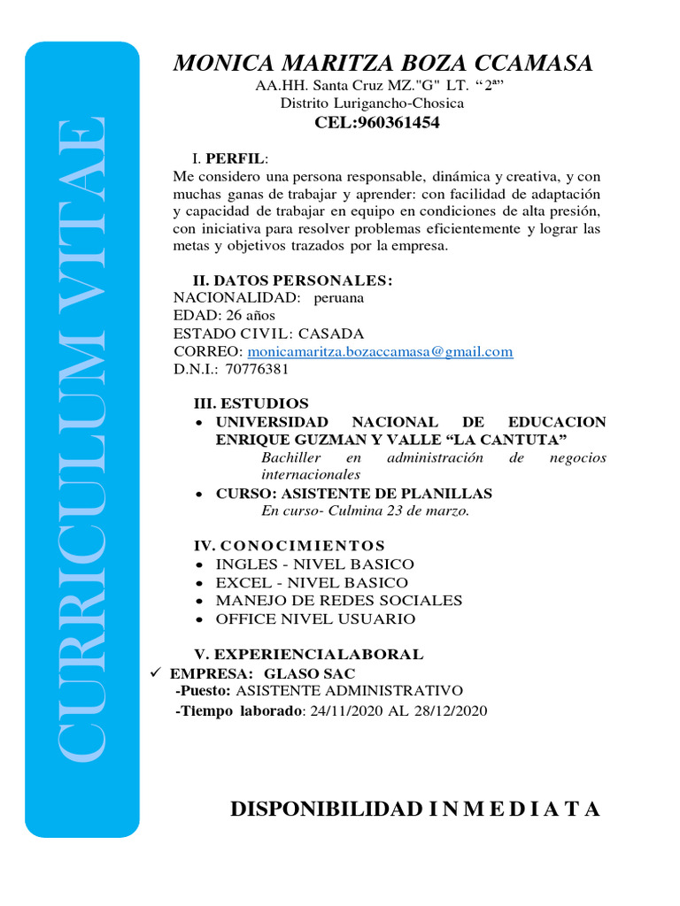 Monica Boza Cv 2024 | PDF