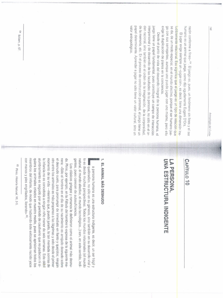 Antropologia Cap 10 | PDF