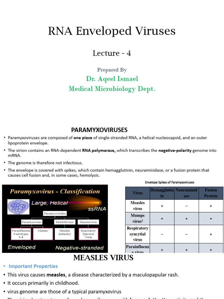4 - Clinical Virology - RNA Enveloped Viruses - Lecture - 5 | PDF ...