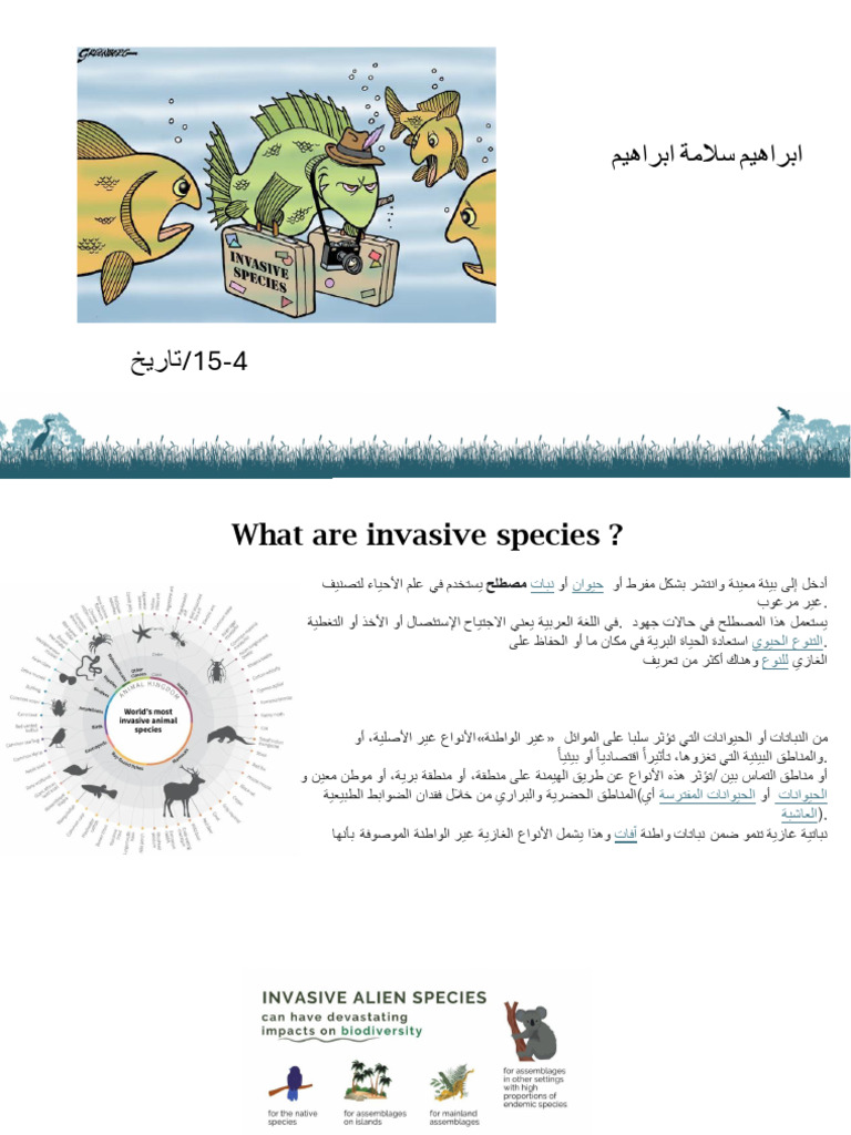 Ibrahim Salama | PDF