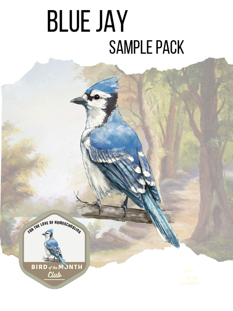 Blue Jay Sample | PDF