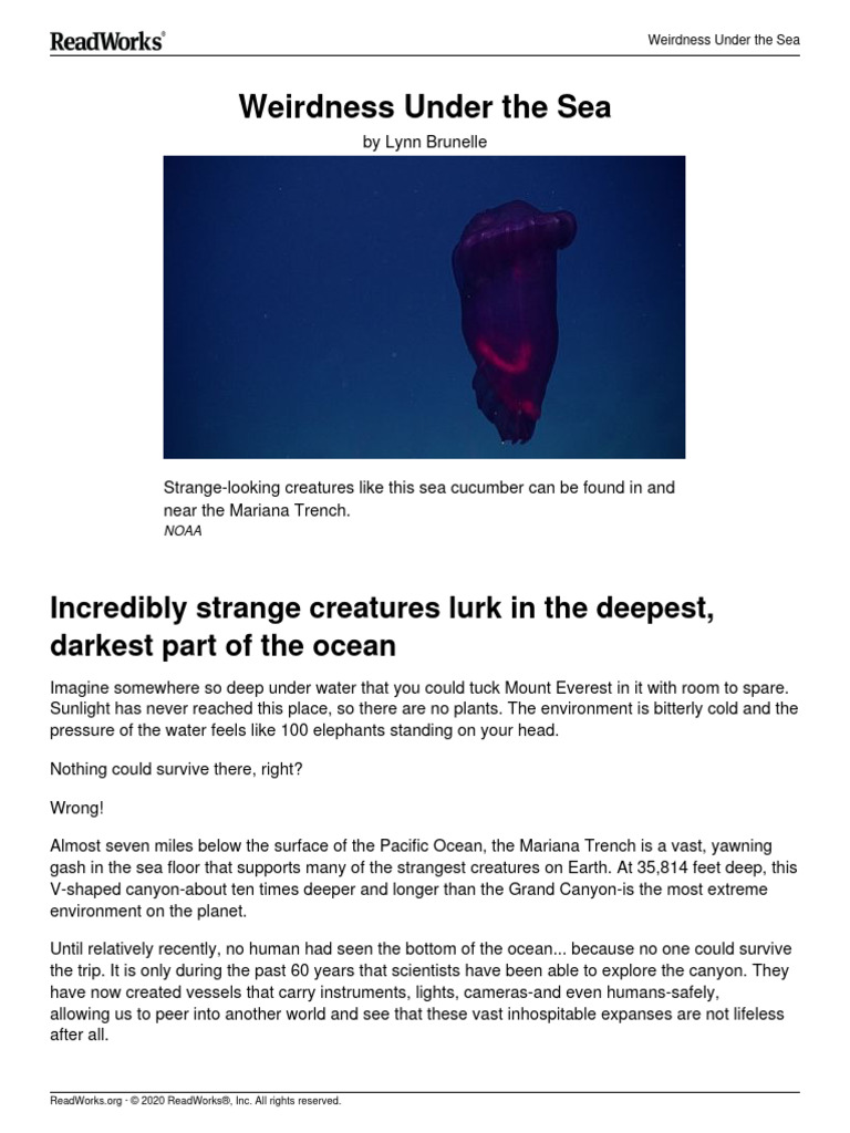 Underwater Creatures | PDF | Sea | Oceans