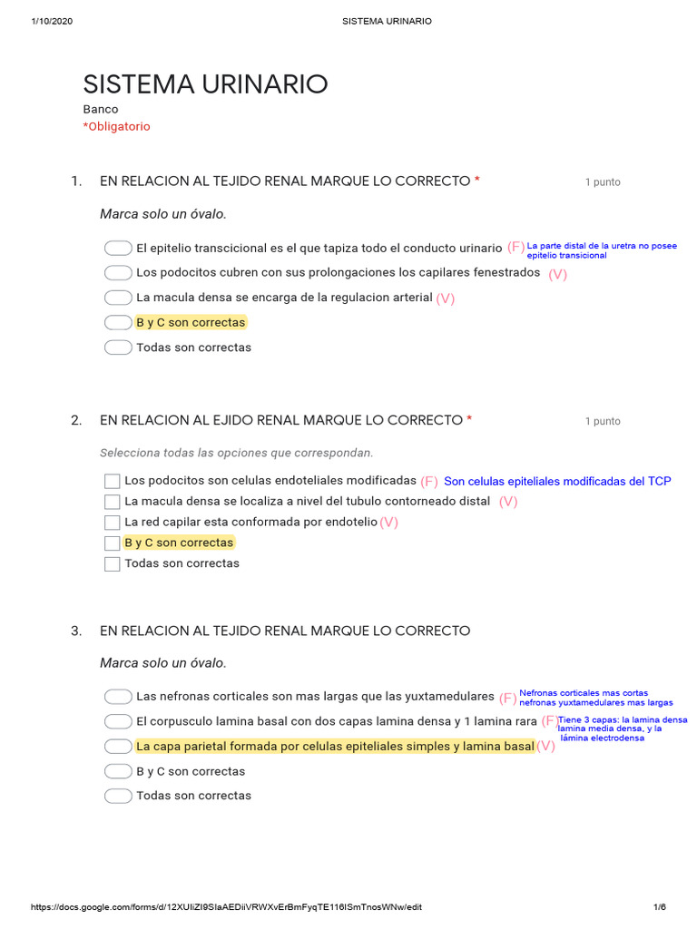 URINARIO | PDF | Riñón | Sistema urinario