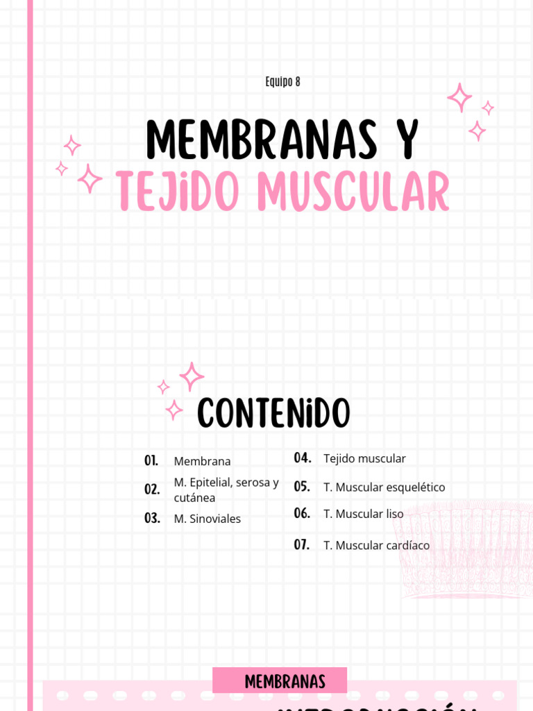 MEMBRANAS | PDF | Epitelio | Membrana mucosa