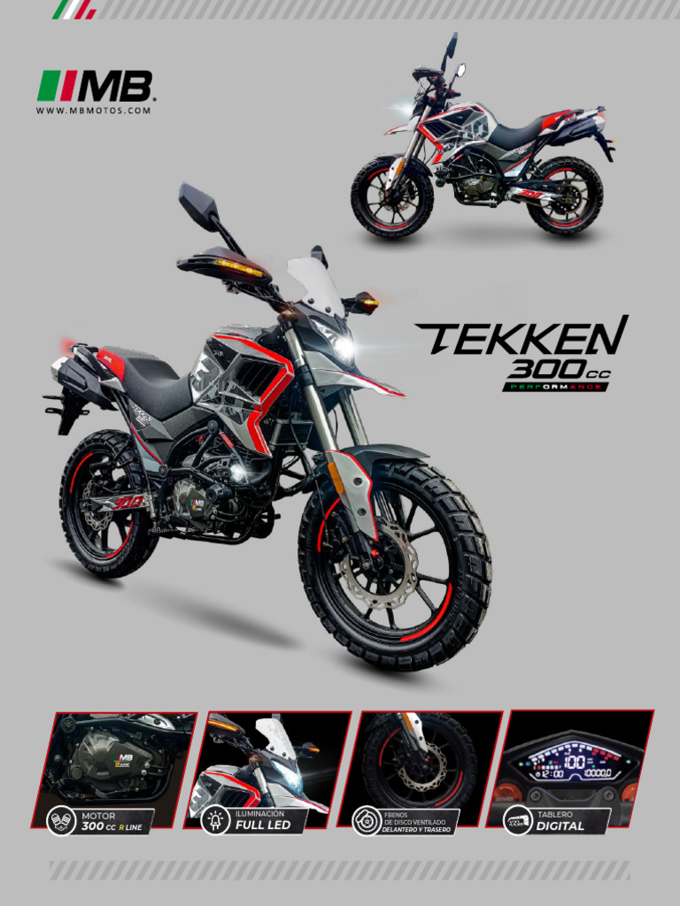 Ficha Técnica de la Tekken 300 CC | PDF