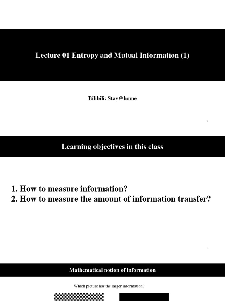 Joint Entropy and Information Theory | PDF | Information | Statistical ...