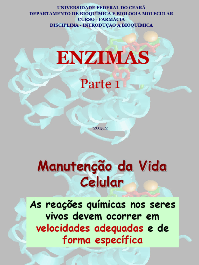 Aula 3 - Enzimas 1 | PDF | Enzima | Catálise
