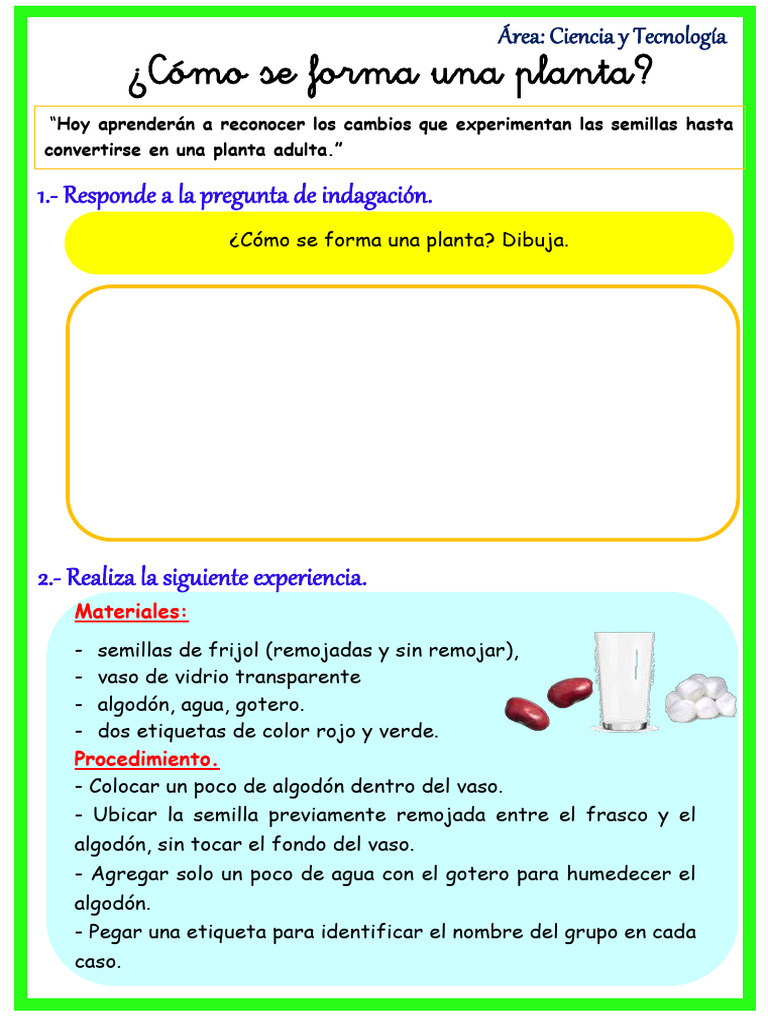 FICHA Cómo Se Forma Una Planta | PDF