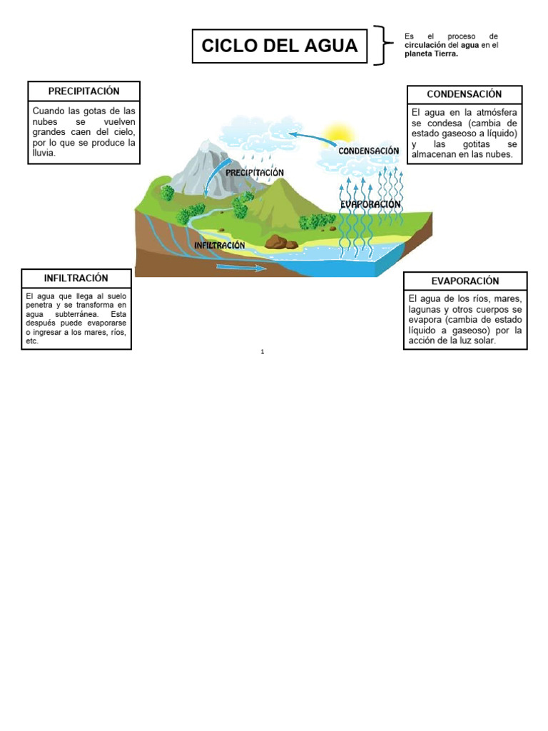 Texto - Ciclo Del Agua | PDF