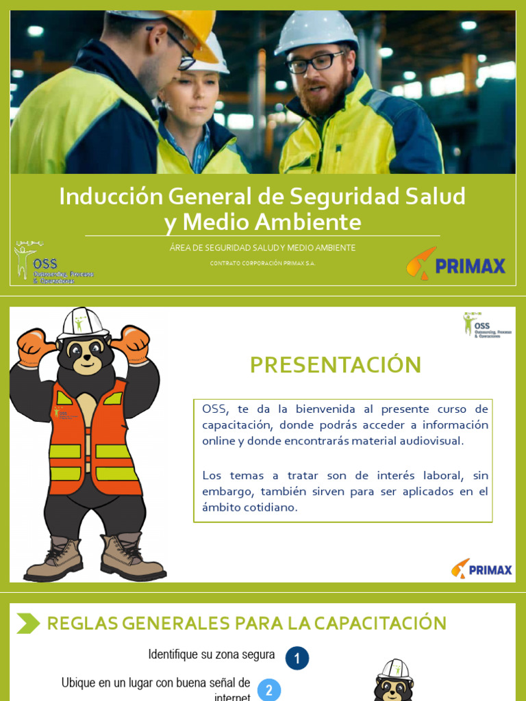 Inducción General de Seguridad Salud y Medio Ambiente 2022 | PDF | Valores | Higiene Ocupacional