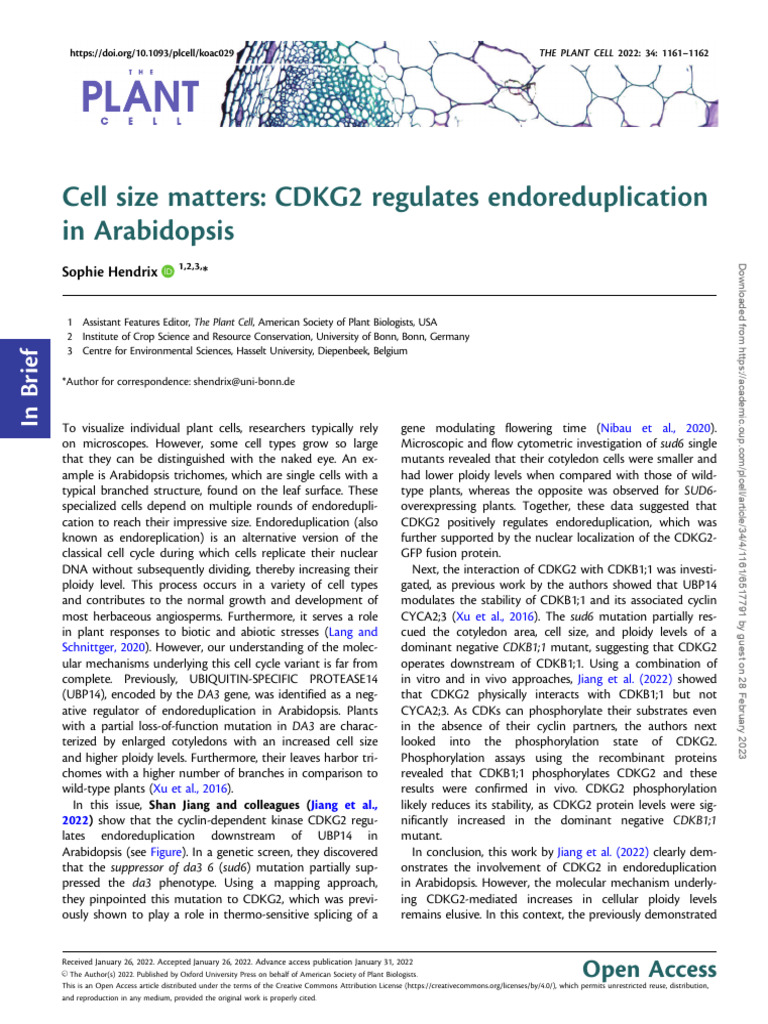 CDKG2's Role in Arabidopsis Endoreduplication | PDF | Arabidopsis ...