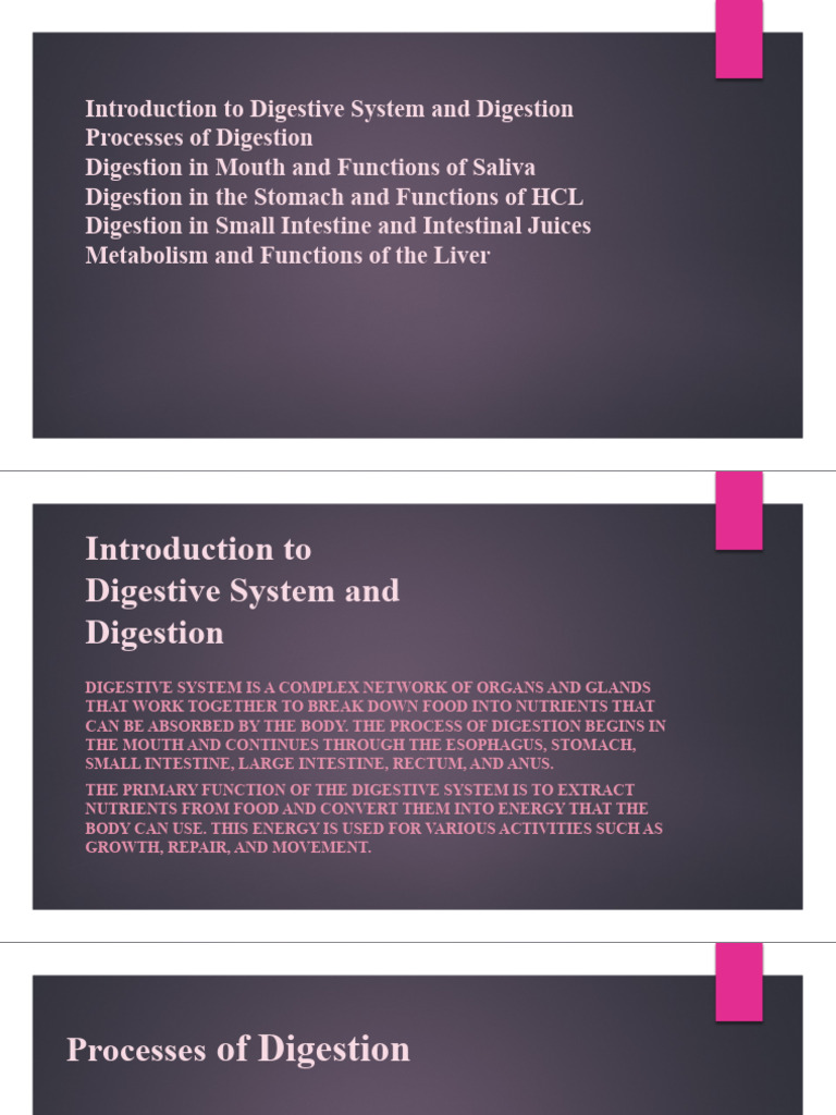 Digestive | PDF | Digestion | Stomach