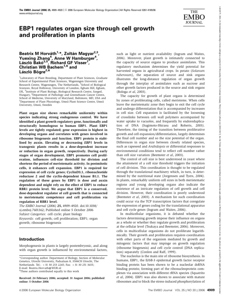 The EMBO Journal - 2006 - Horv TH - EBP1 Regulates Organ Size Through ...