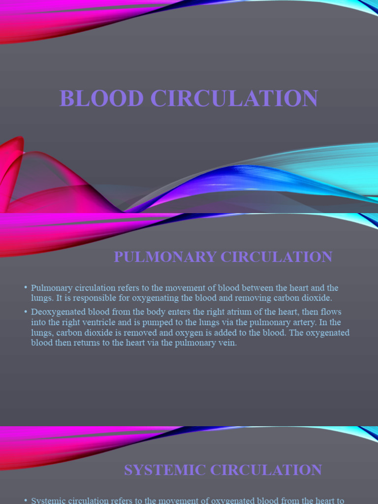 Blood Circulation | PDF | White Blood Cell | Heart