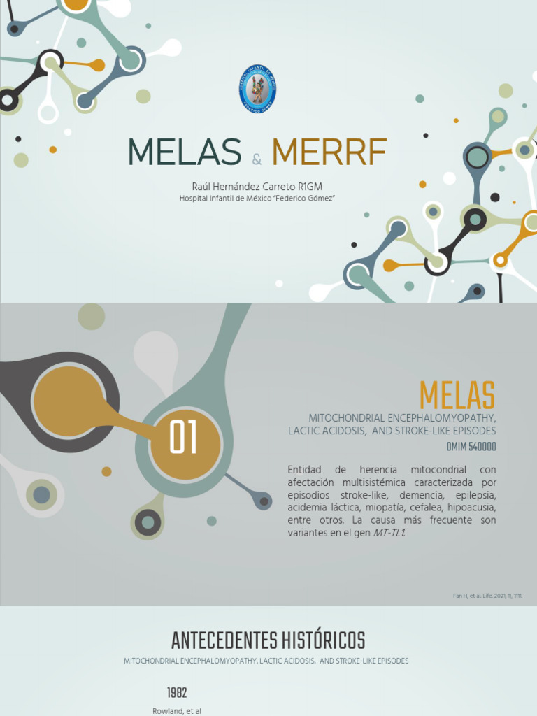 Seminario MELAS y MERRF | PDF | Adn mitocondrial | Bioquímica