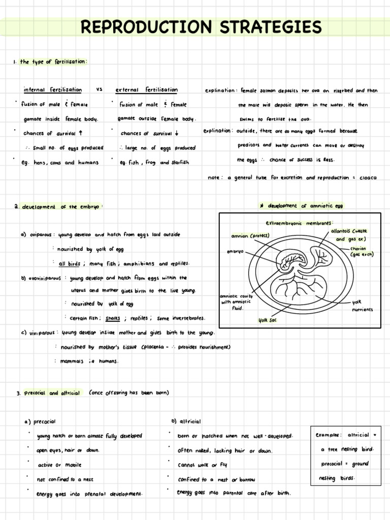 Reproduction Strategies | PDF | Biology | Zoology