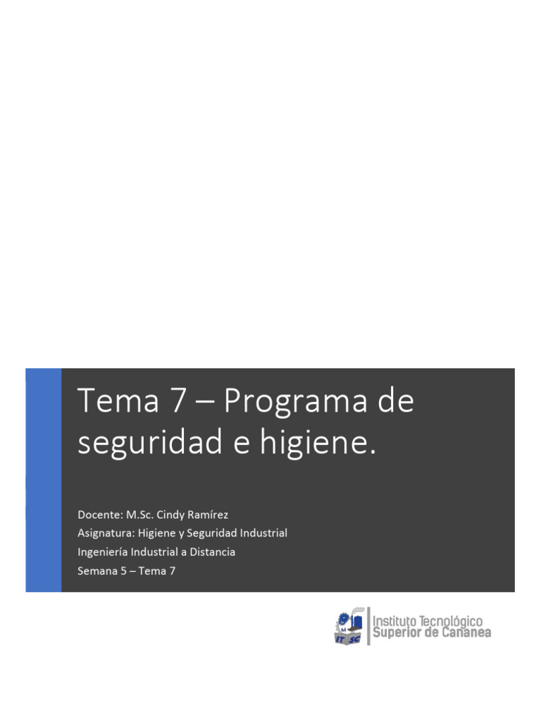Tema 7 - Programa de Seguridad e Higiene | PDF | La seguridad ...