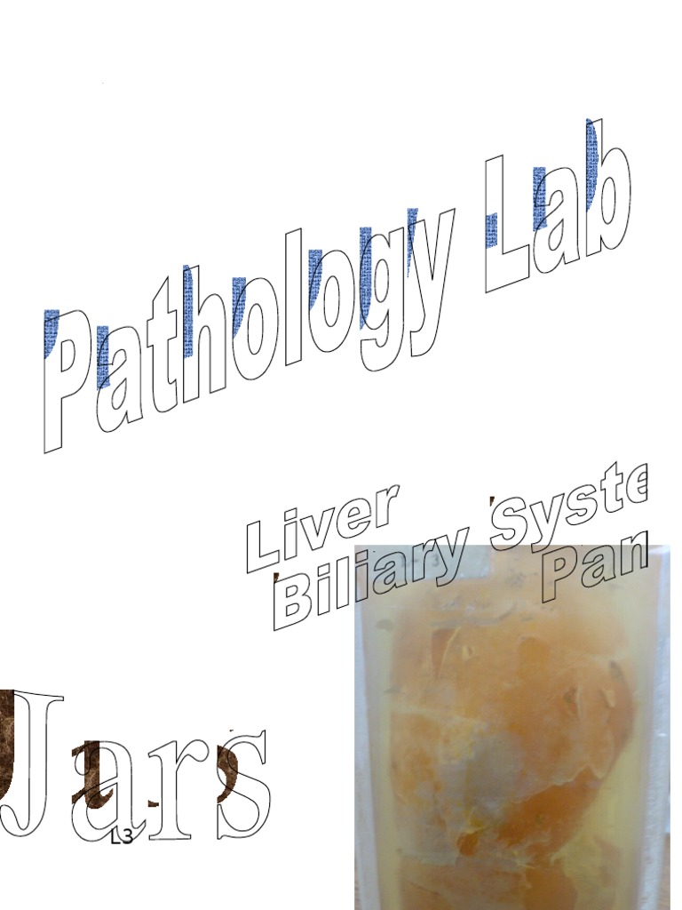 Pathology Liver Jars Fixed | PDF | Liver | Cirrhosis