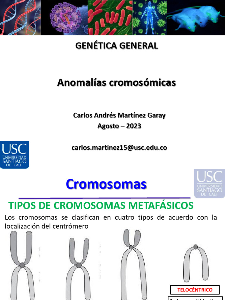 3. Anomalias cromosomicas | PDF | Cariotipo | Cromosoma