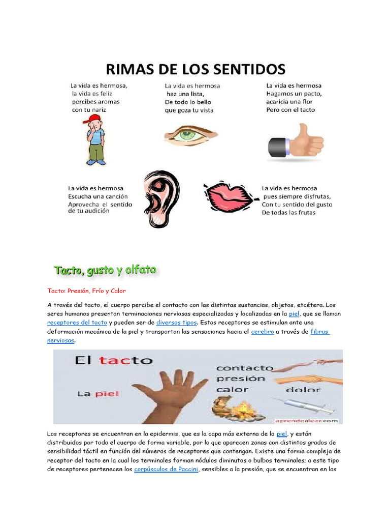 Sensaciones del Tacto, Gusto y Olfato | PDF | Gusto | Sentidos