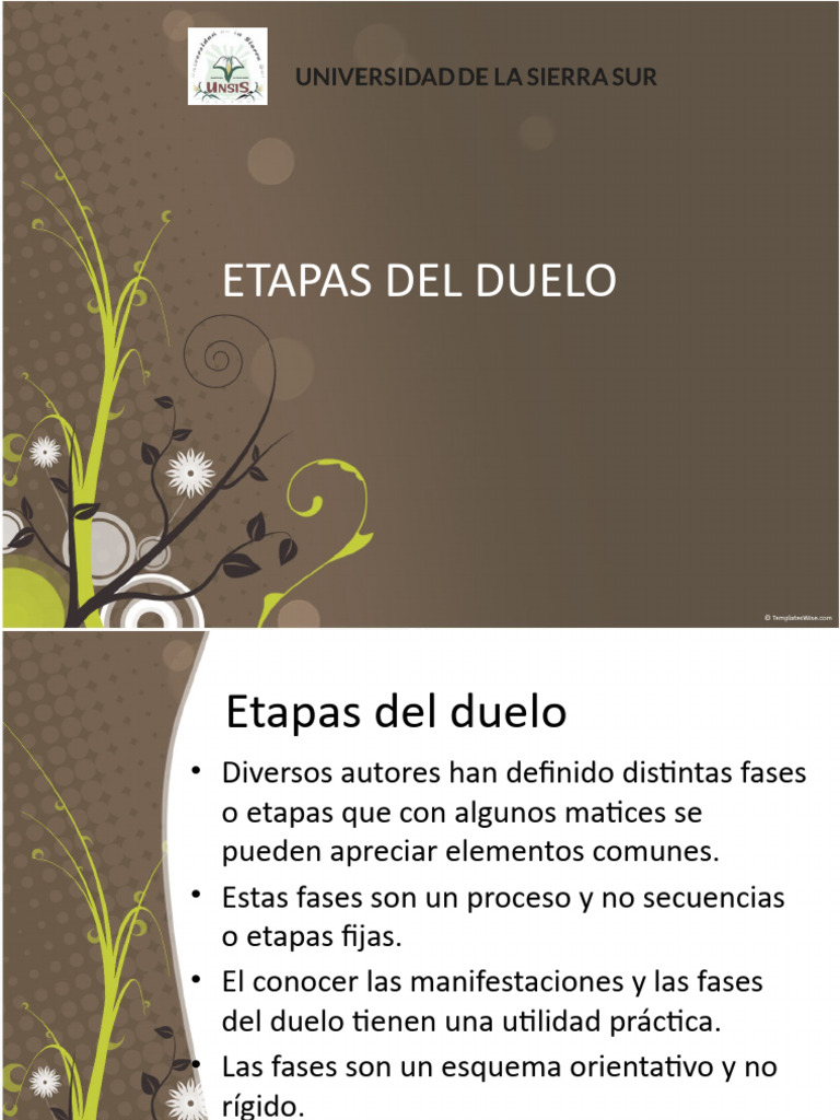 Etapas del Duelo según Autores | PDF | Dolor | Conceptos psicologicos