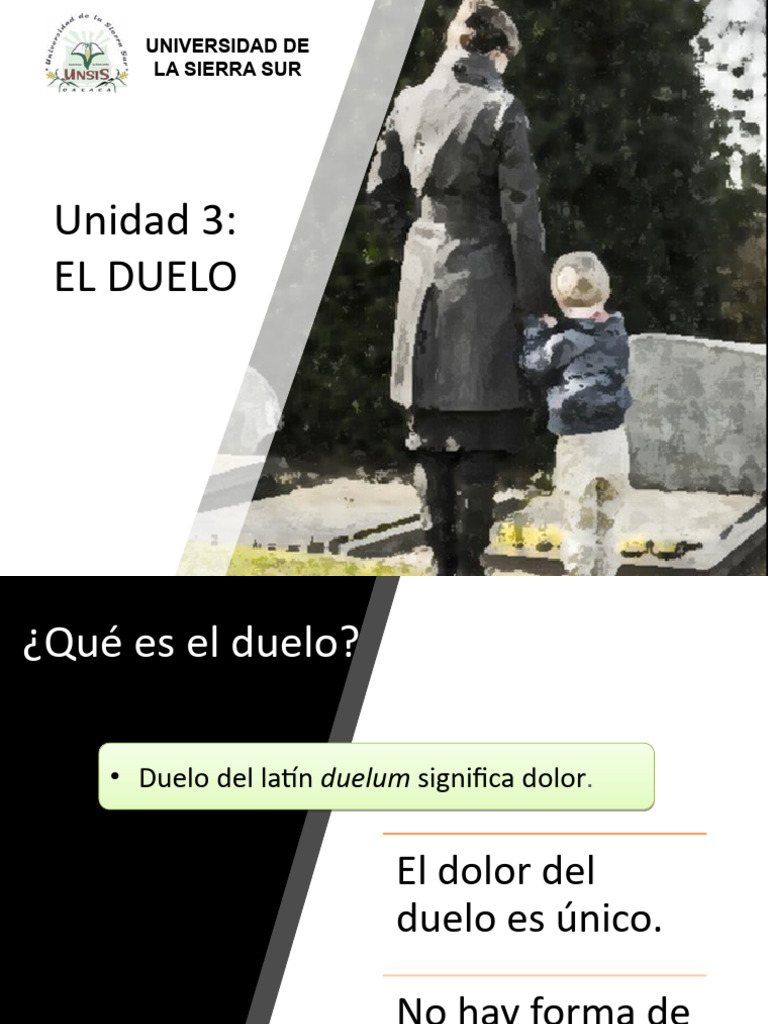 Etapas y características del duelo | PDF | Dolor | Medicina CLINICA
