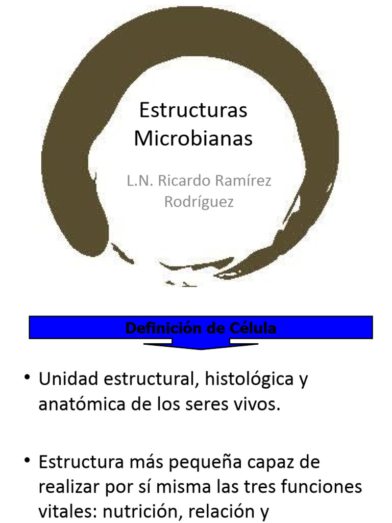 Estructura Microbiana | PDF | Biología Celular) | Citoplasma