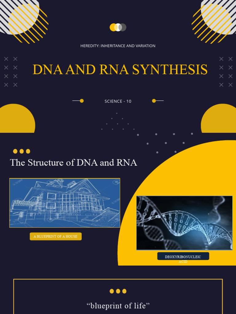 Module 2 Heredity - Inheritance and Variation Central Dogma | PDF | Translation (Biology) | Dna