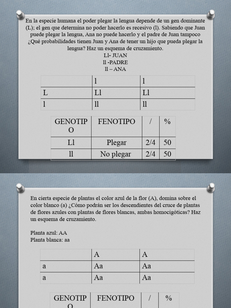 CP - Tarea | PDF | Dominancia (Genética) | Alelo