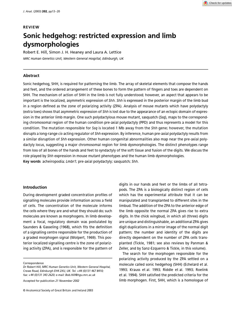 Journal of Anatomy - 2003 - Hill - Sonic Hedgehog Restricted Expression ...