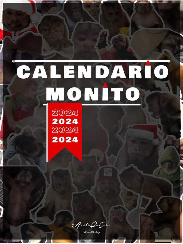 Calendario de Monitos | PDF
